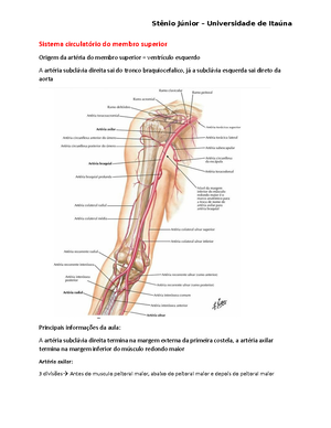 Vascularizaçao do membro superior - Vasos sanguíneos e linfáticos do ...
