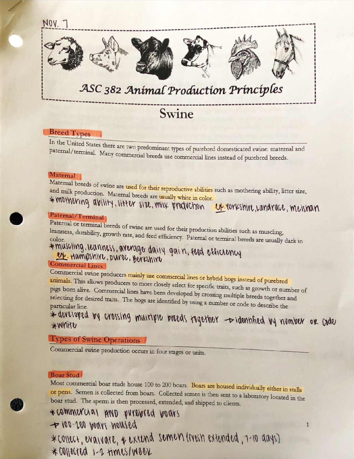 Swine - Taught by Ann Leed - NOV. 7 ASC 382 Animal Production ...