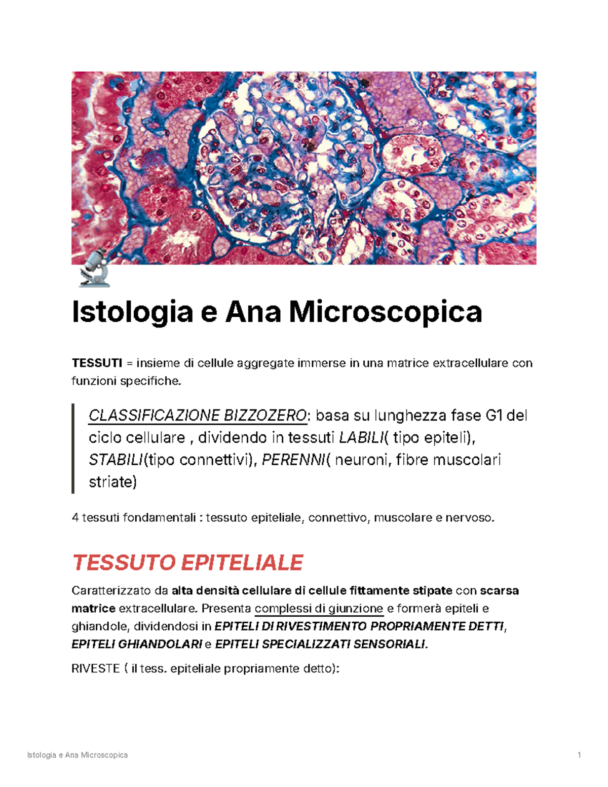 Istologia e Anatomia Microscopica - 🔬 Istologia e Ana Microscopica ...
