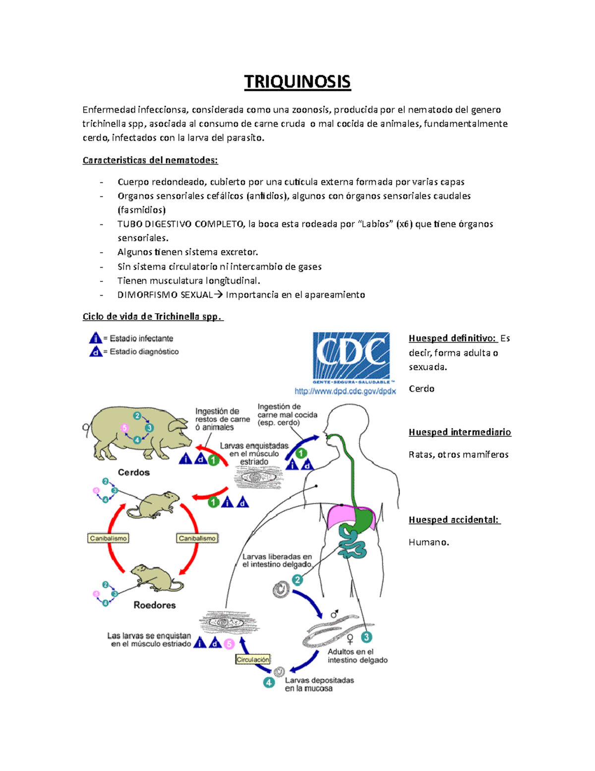10. Triquinosis OK - TRIQUINOSIS Enfermedad infeccionsa, considerada ...