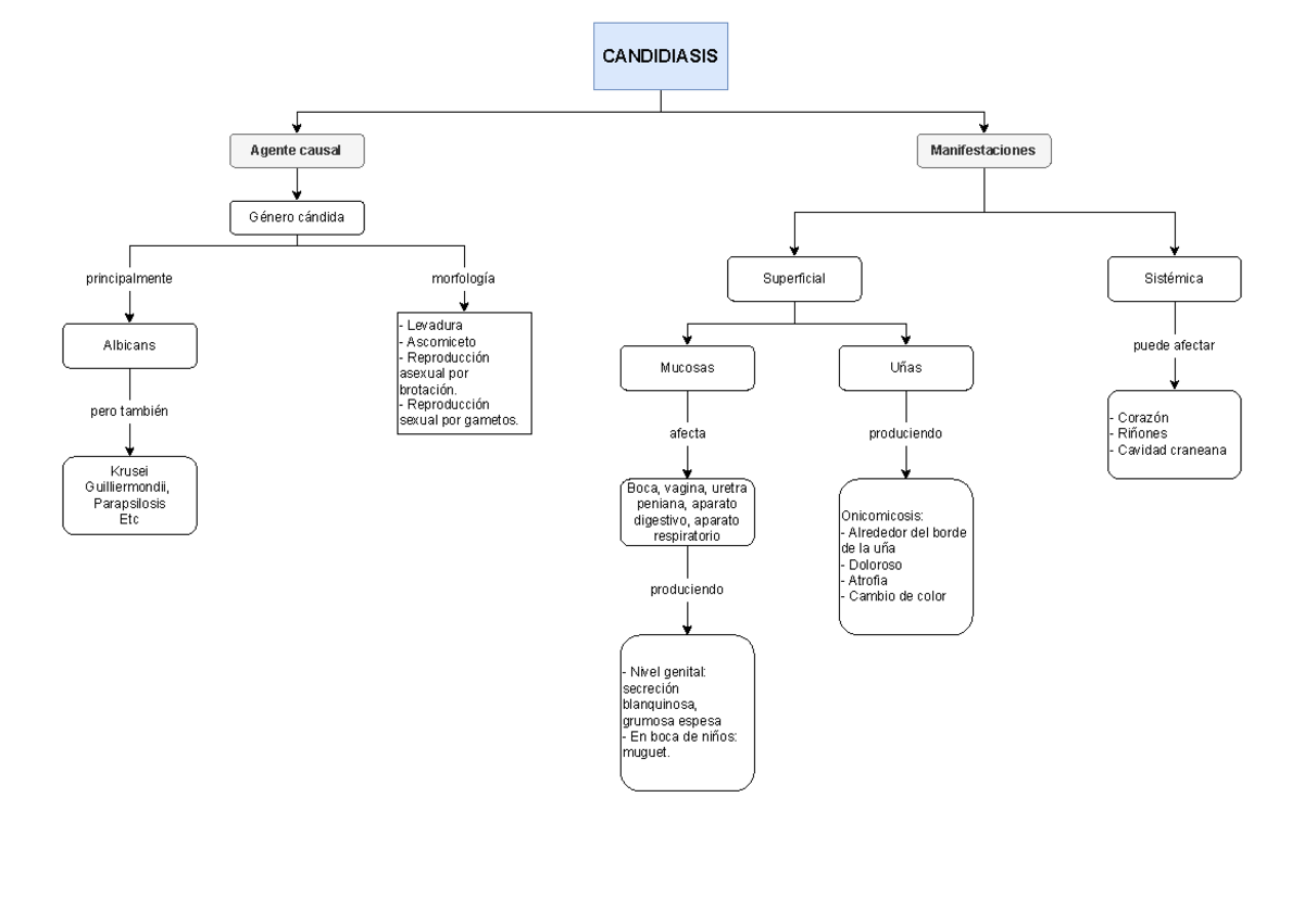 Cándida y Criptococcus - CANDIDIASIS Agente causal Género cándida ...