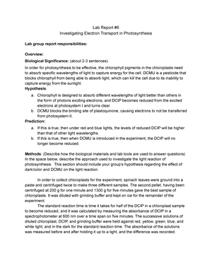 BIO161 Lab Report #11 - Lab Report #11 Gene Action: Synthesis of β ...