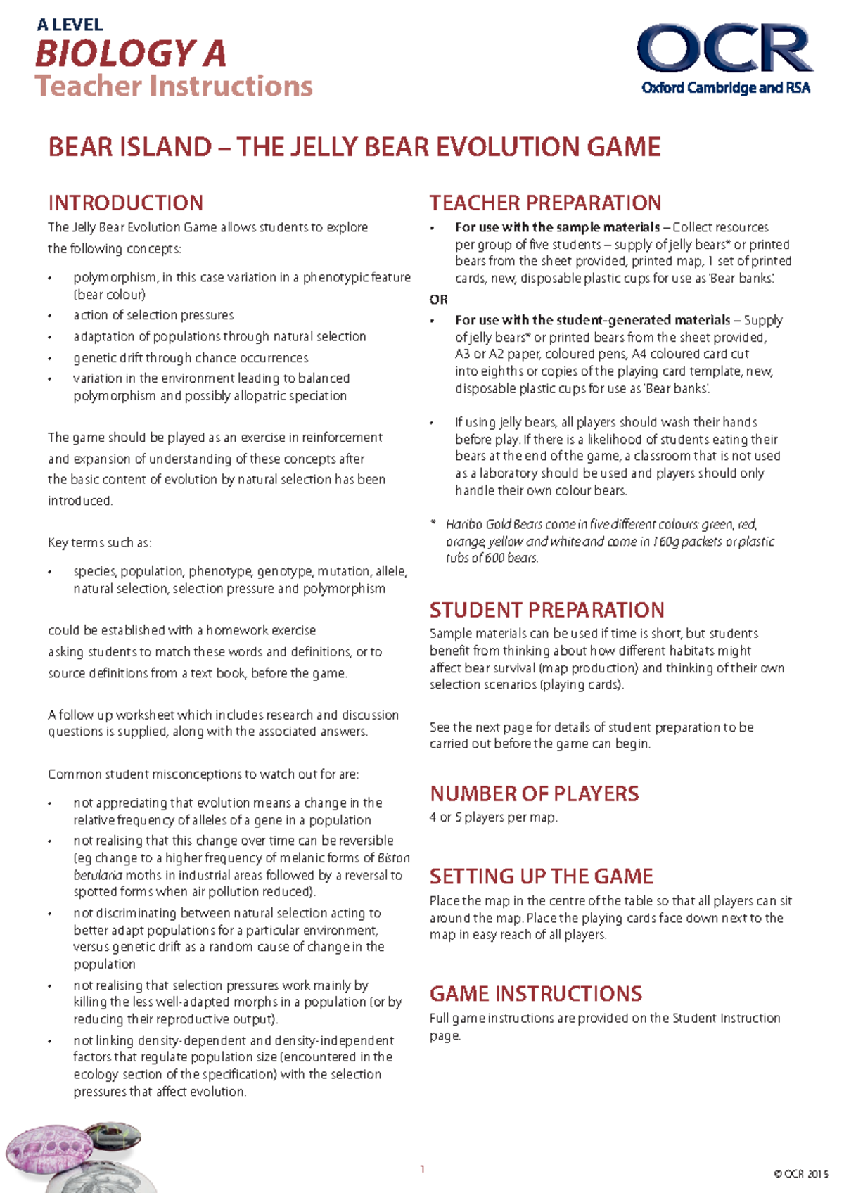 163772 bear island the jelly bear evolution game - BIOLOGY A Teacher ...