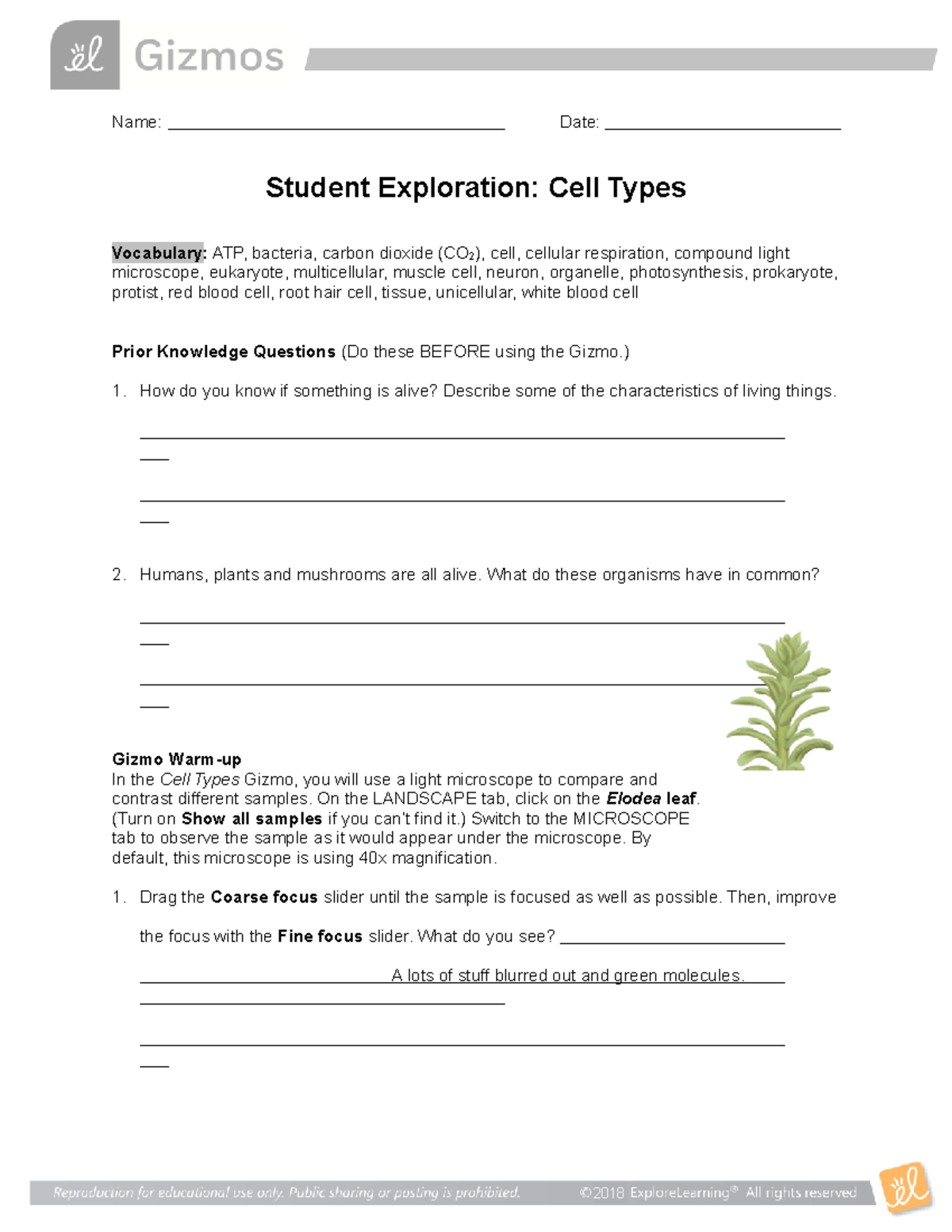 Cell Types Gizmo Biology - Name: Date: Student Exploration: Cell Types ...