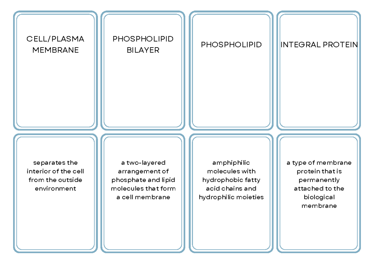 Mitochondria - Flashcards - CELL/PLASMA MEMBRANE PHOSPHOLIPID BILAYER ...