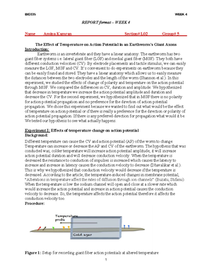 Cardiac Lab Report - Abstract The primary organ of our cardiovascular ...