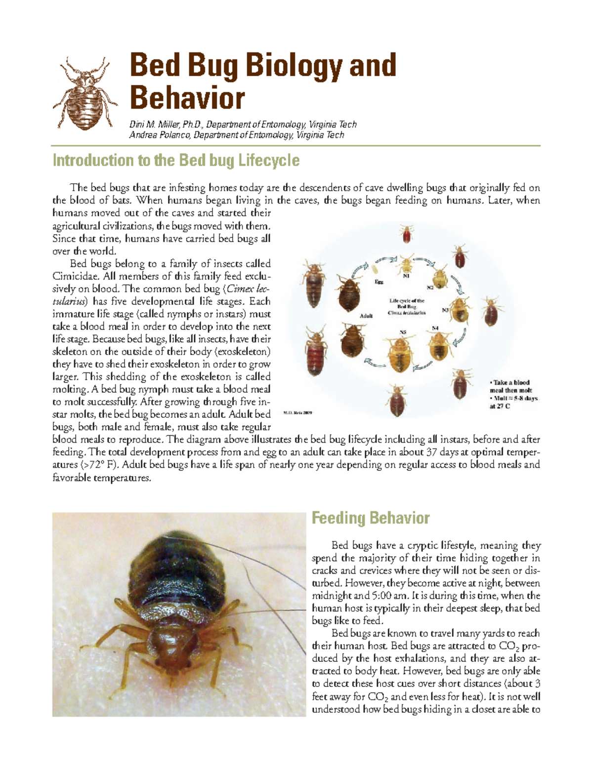 Bb-biology 1 - Biology of ectoparasites - Bed Bug Biology and Behavior ...