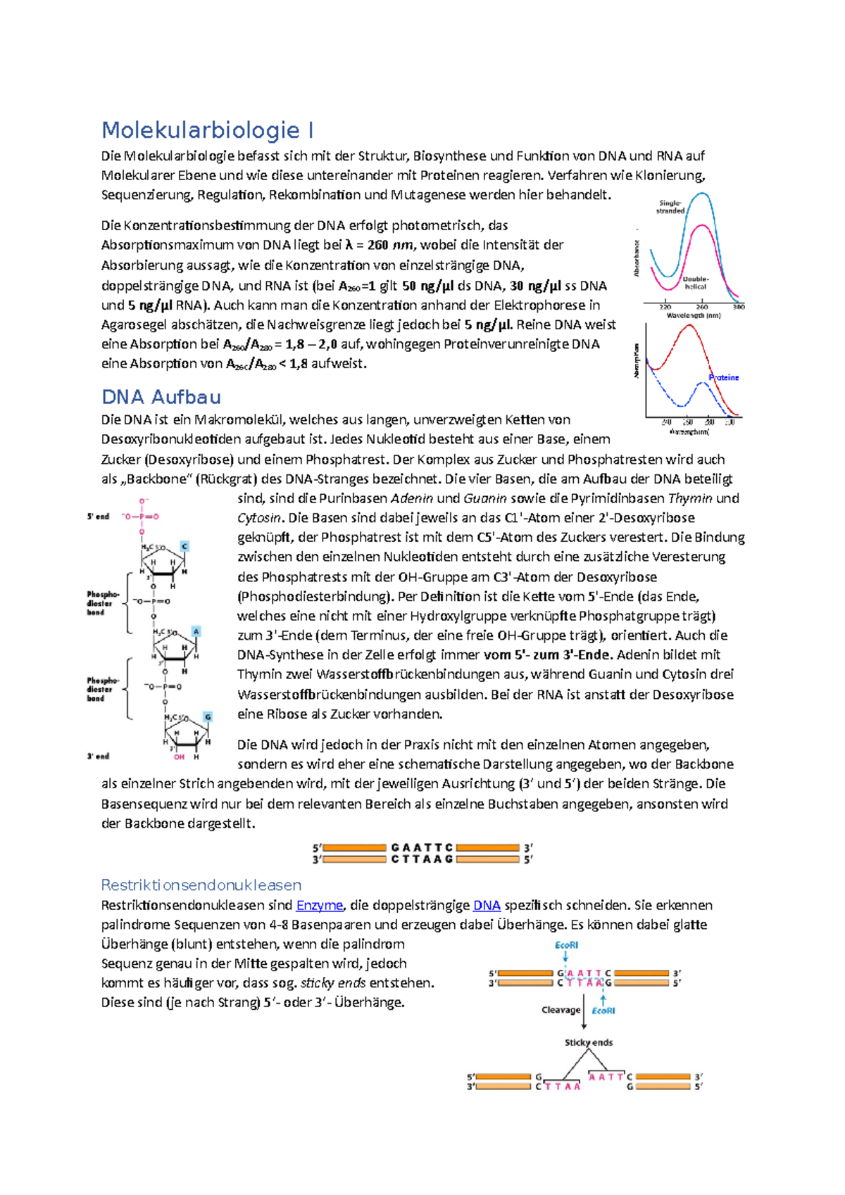 Biochemische Analytik 04 - Molekularbiologie I Die Molekularbiologie ...