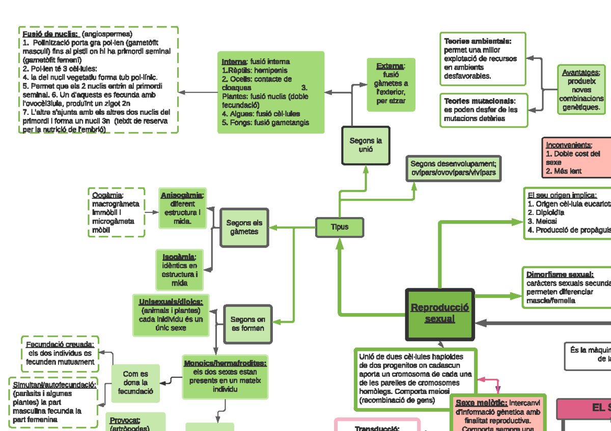 Mapa conceptual t6- reproducció i sexe - EL SEXE És la màquina evolutiva i origen de la ...