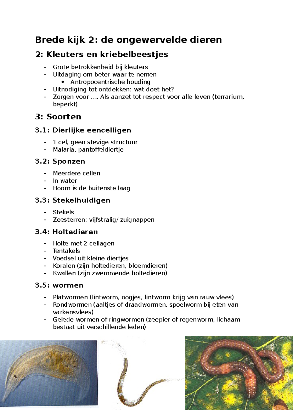 Brede kijk 2 fauna de ongewervelde dieren - Brede kijk 2: de ...