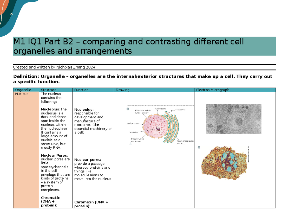 M1 IQ1 B2 –Organelles - M1 IQ1 Part B2 – comparing and contrasting ...