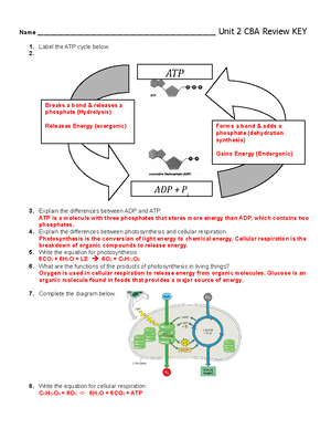 Student-DKA Unfolding Reasoning - Diabetic Ketoacidosis (DKA) Diana ...