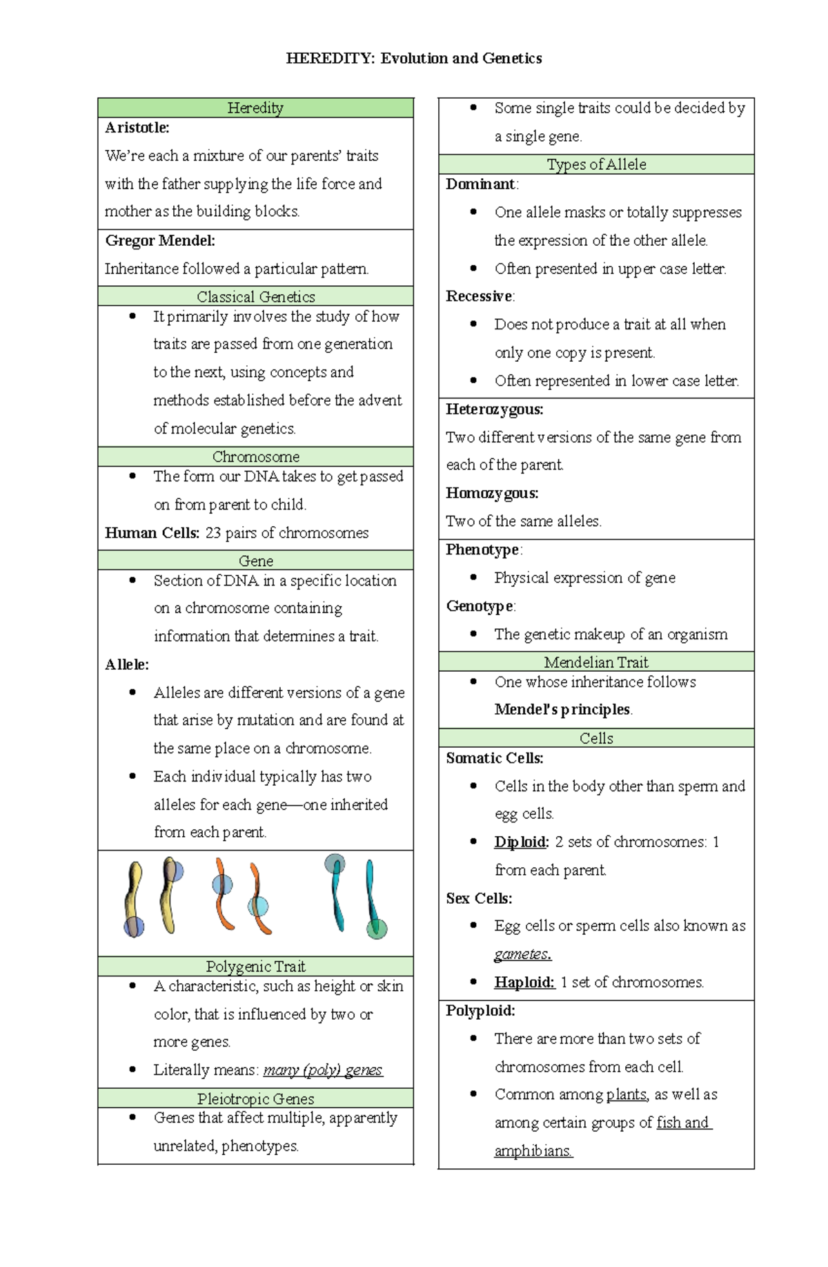 Heredity - HEREDITY: Evolution and Genetics Heredity Aristotle: We’re ...