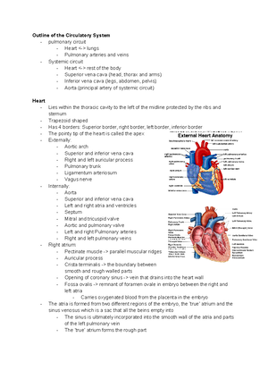 ANAT0005 Thoracic walls - Chest Wall - From superficial to deep - Skin ...