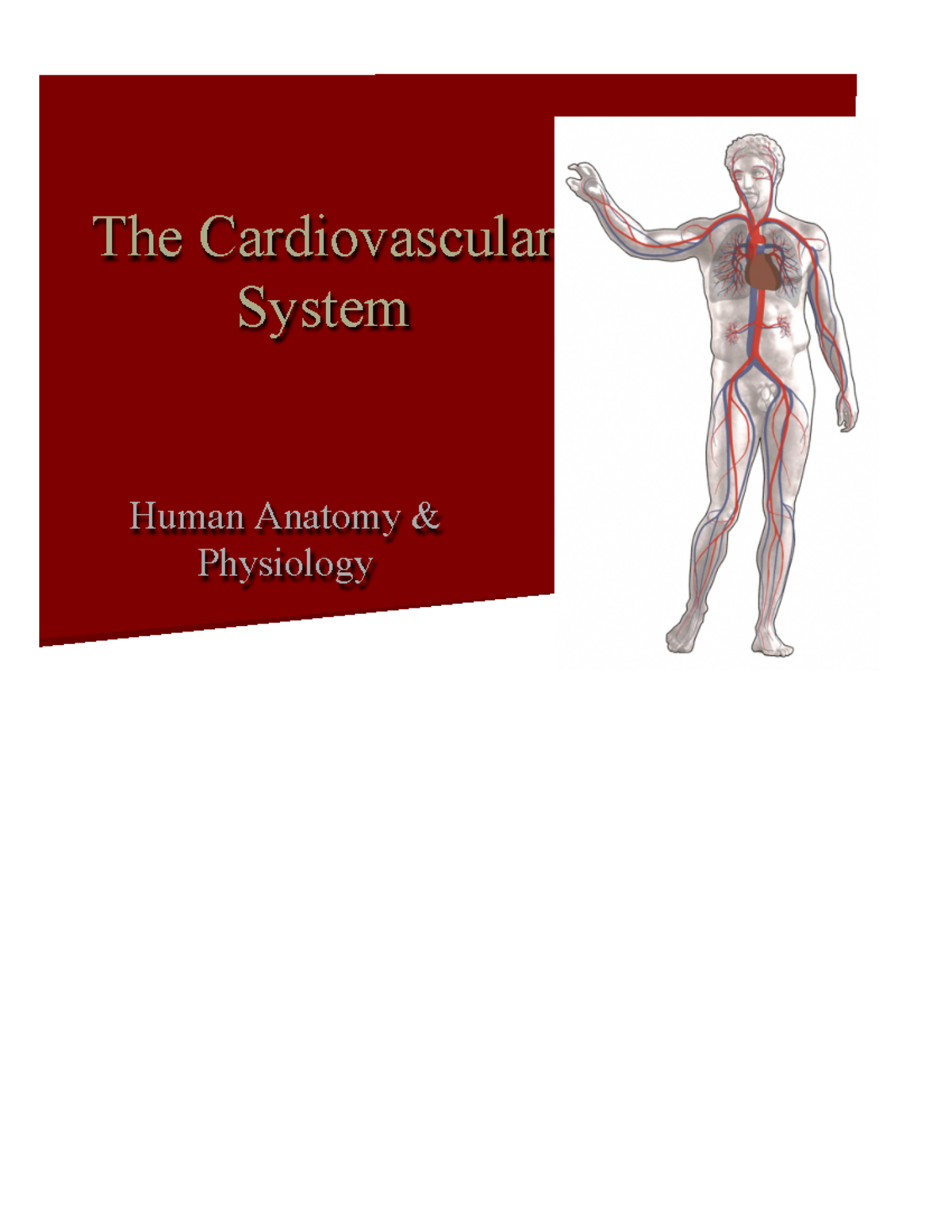 Screenshot 2024-03-22 at 1.18.34 PM - Human Anatomy & Physiology The ...