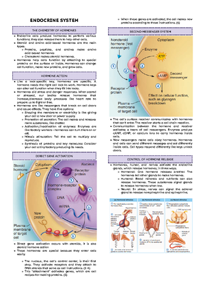 Anaphy- Notes-C4 - MUSCULOSKELETAL SYSTEM TOPIC OUTLINE I. Overview of ...