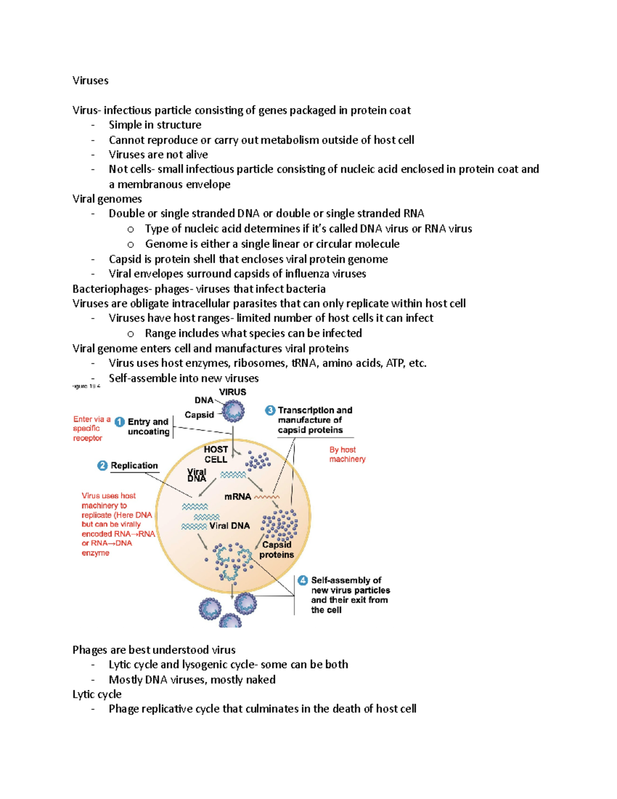 Viruses and Biotechnology - Viruses Virus- infectious particle ...