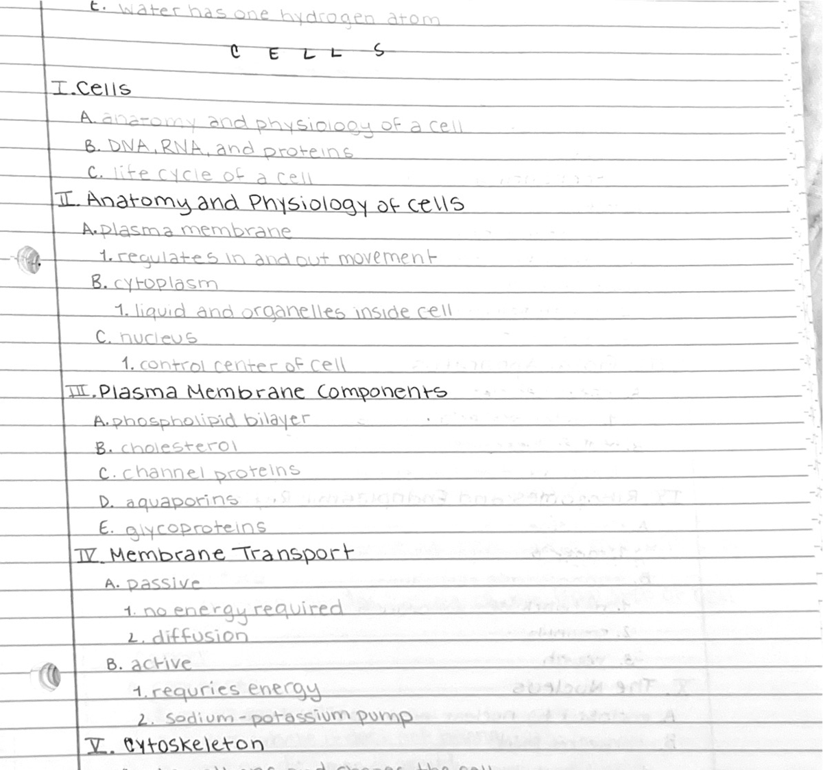 Cells - what is a cell and what is its function - BIO 2053 - Studocu