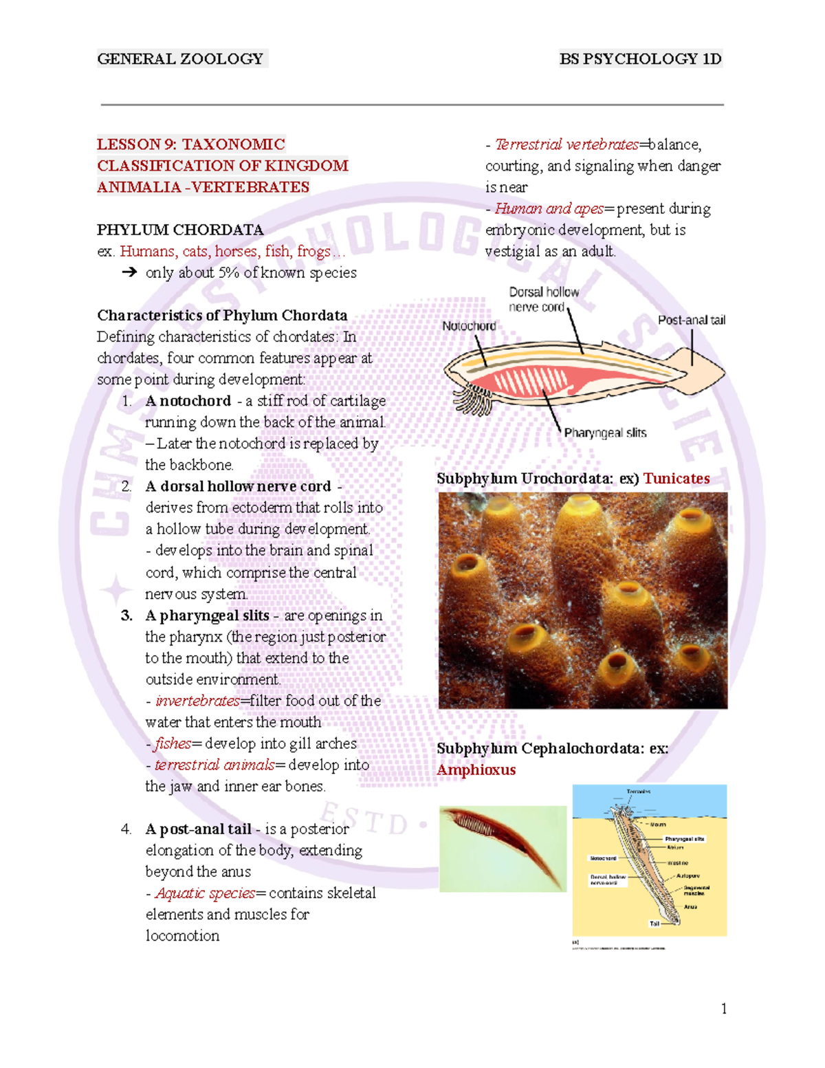 Genzoo - Notes - LESSON 9: TAXONOMIC CLASSIFICATION OF KINGDOM ANIMALIA ...