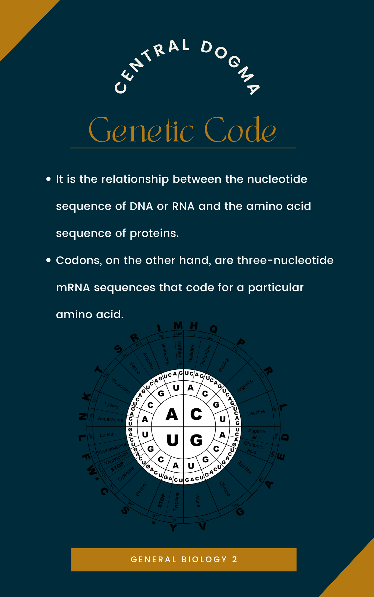 Genetic code - health assessment - G E N E R A L B I O L O G Y 2 It is ...
