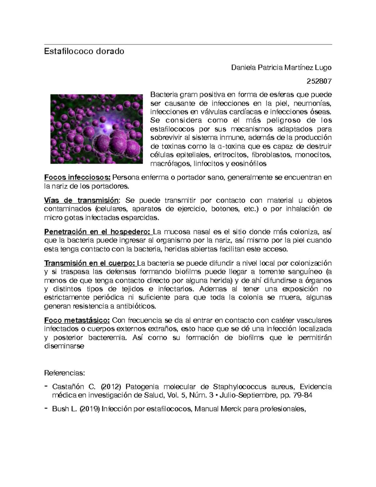 Estafilococo dorado (Staphylococcus aureus) - Generalidades ...