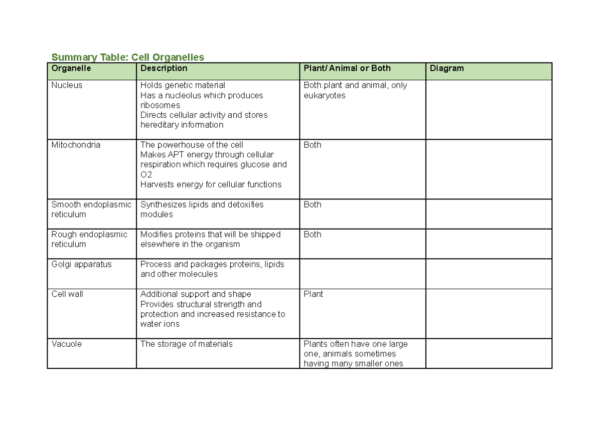 Summary Table - Organelles - Summary Table: Cell Organelles ...