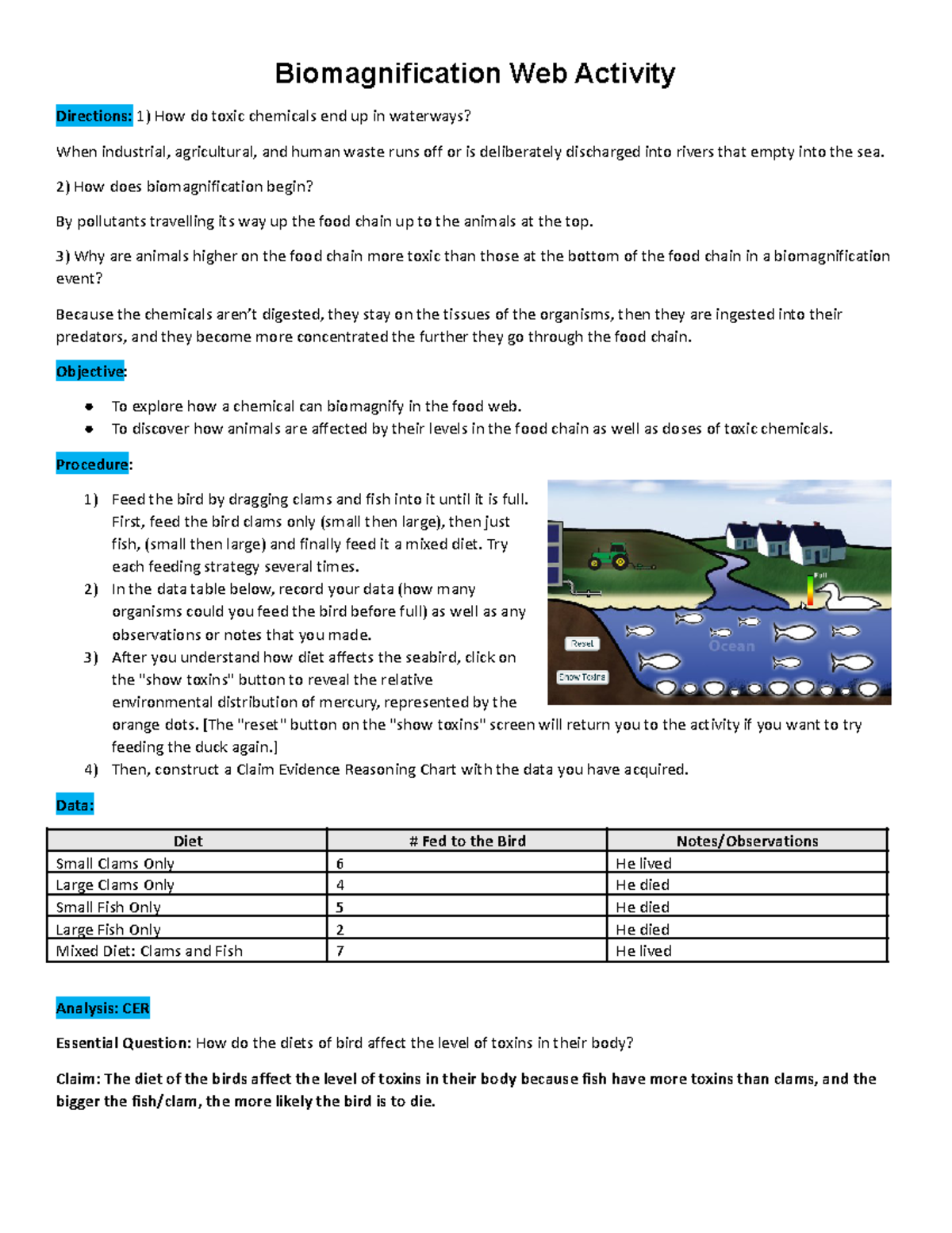Biomagnification Online Activity with Birds - Biomagnification Web ...