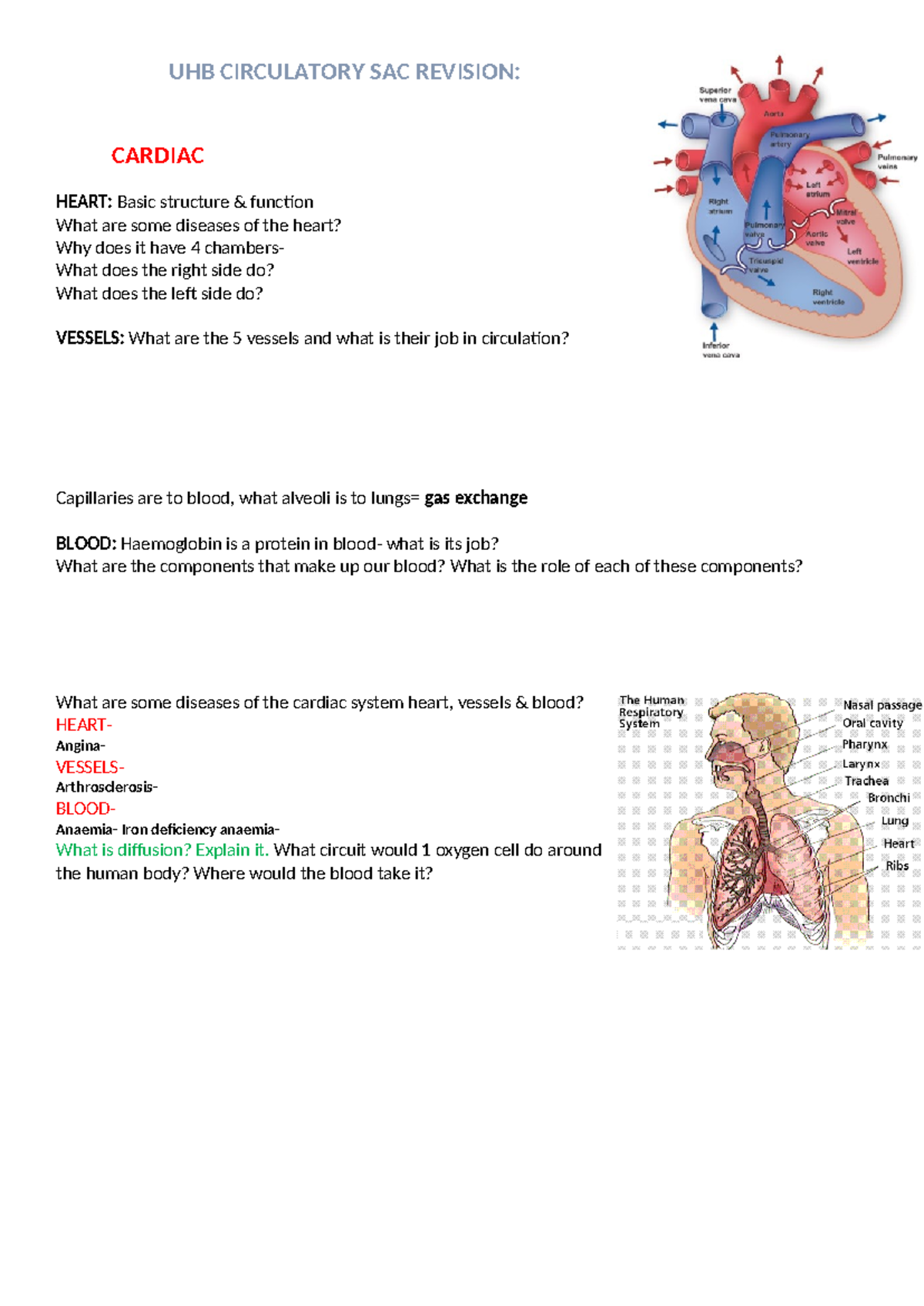 UHB Circulatory Extra Revision - UHB CIRCULATORY SAC REVISION: CARDIAC ...