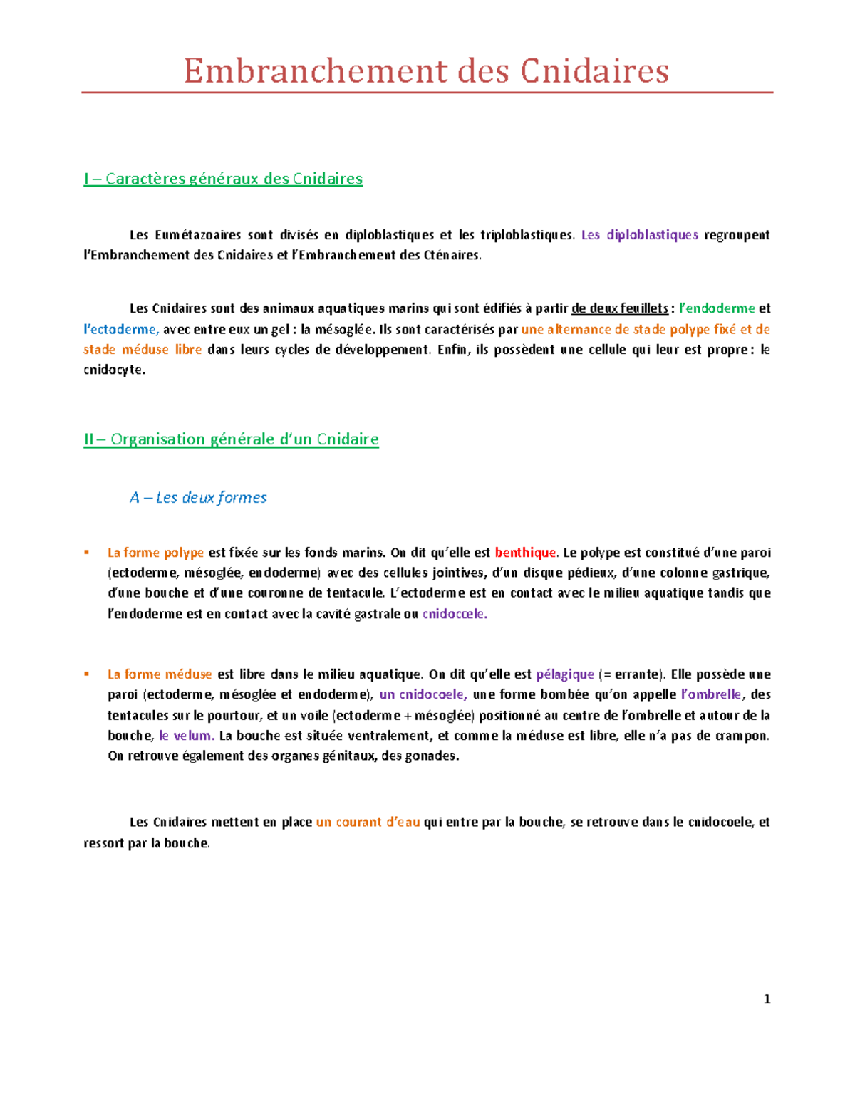 Biologie - Embranchement des Cndaires - Embranchement des Cnidaires I ...