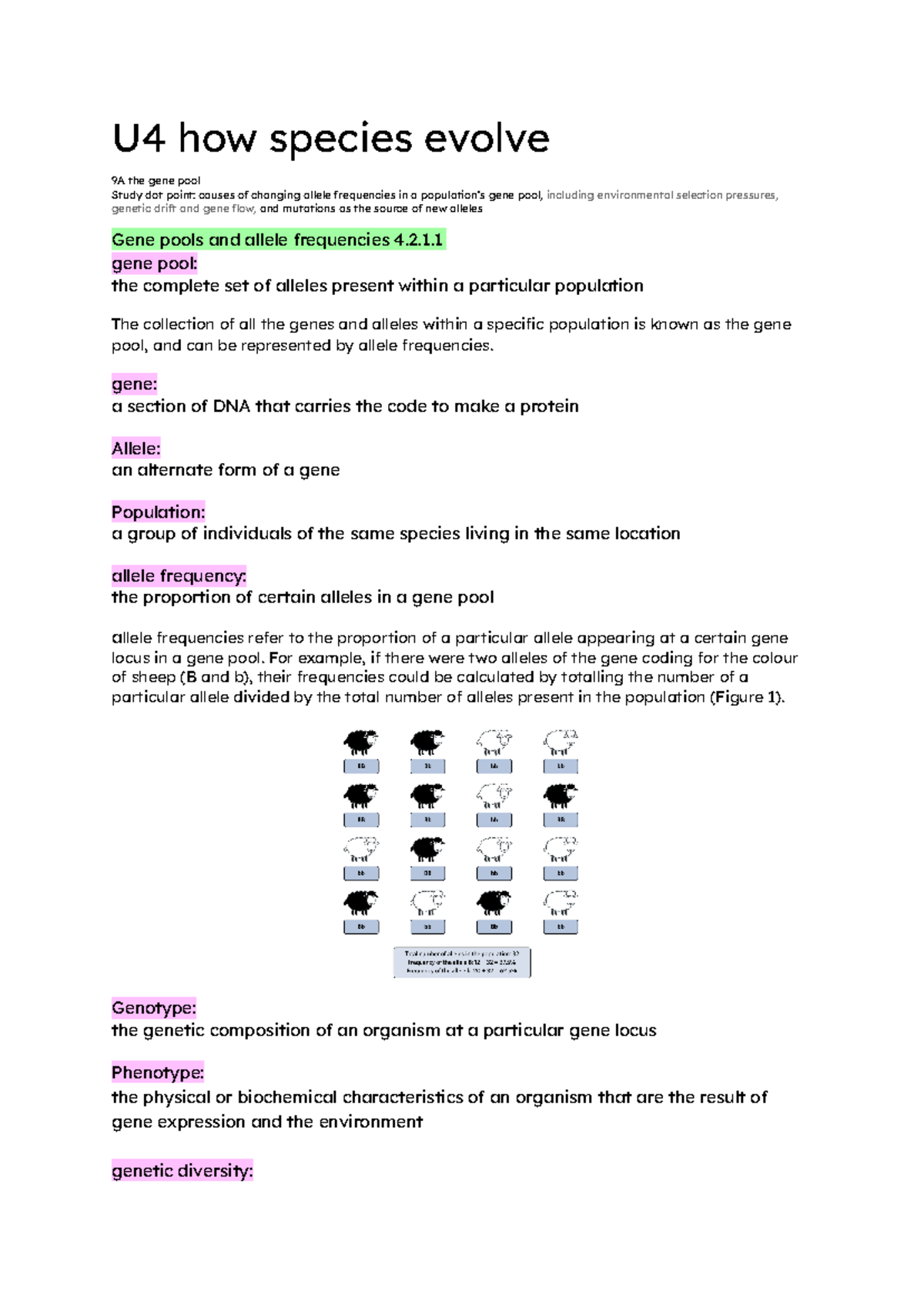U4 how species evolve - evolution and fossils - U4 how species evolve ...