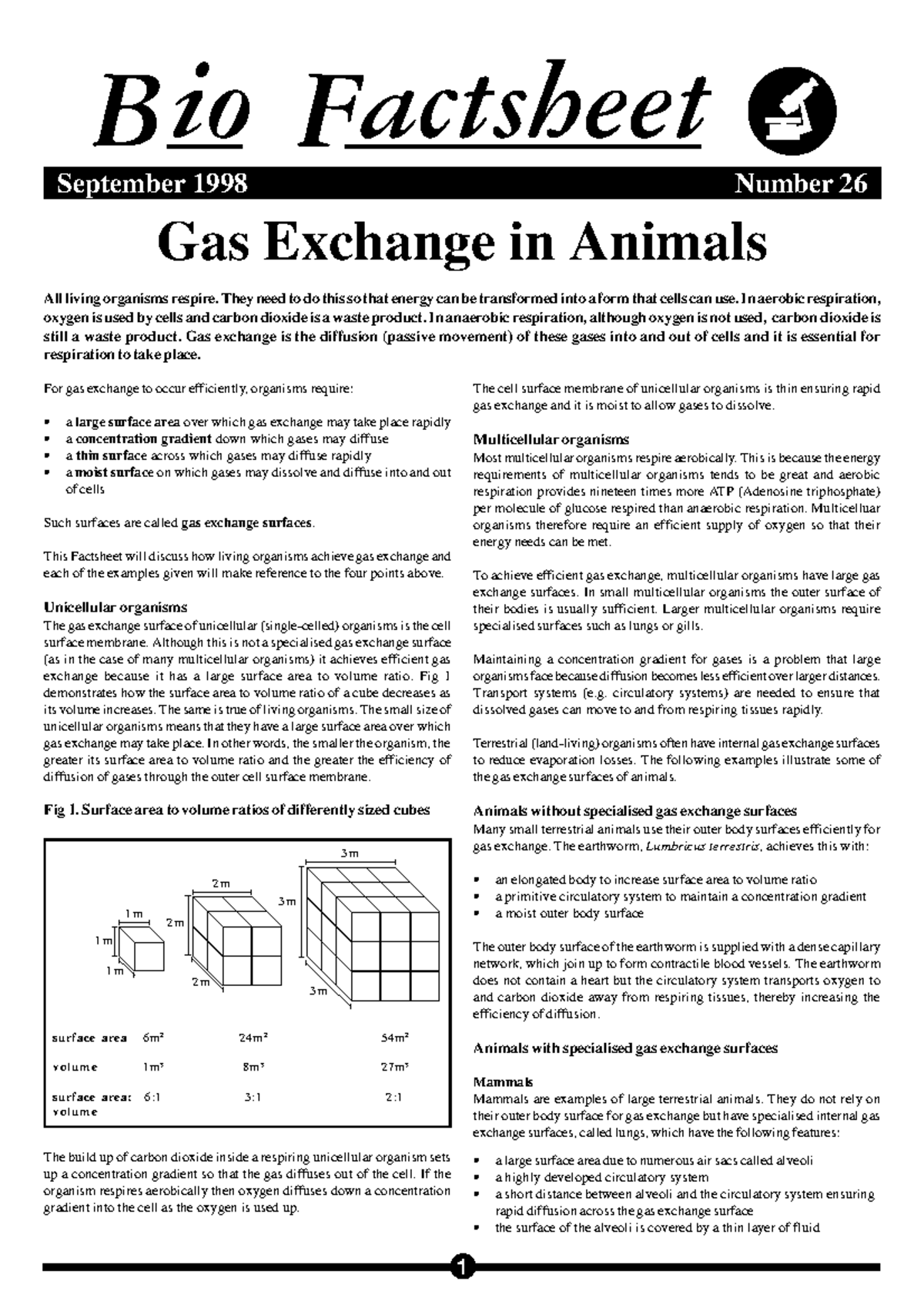 26 gas exchange - Gas Exchange in Animals Bio Factsheet September 1998 ...