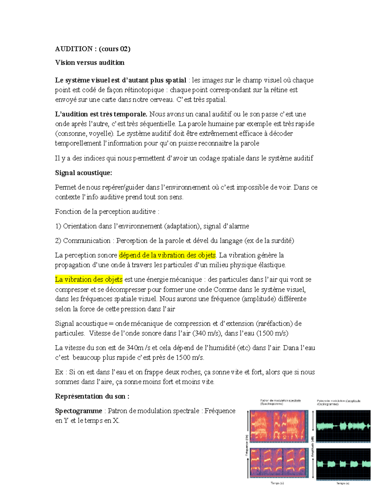 Système auditif (notes de cours) - AUDITION : (cours 02) Vision versus ...