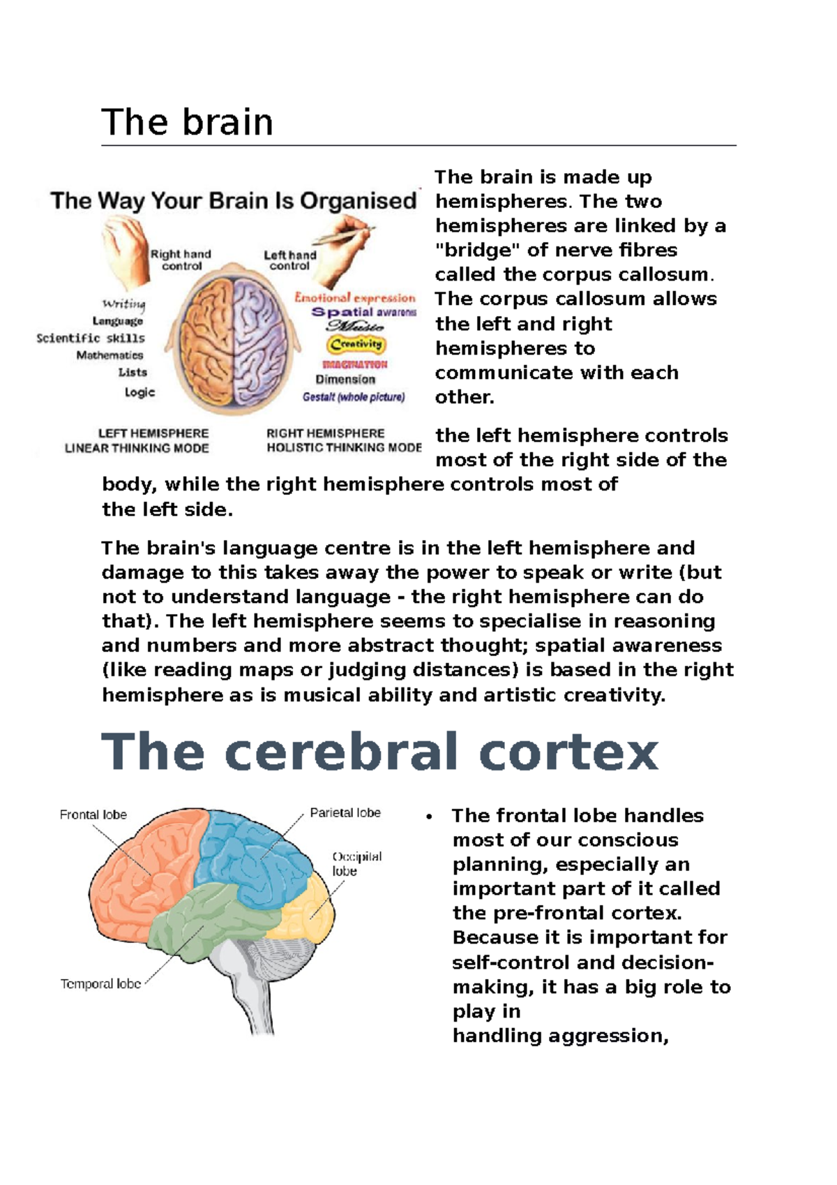 The brain - edexcel biopsychology AS/A LEVEL - The brain The brain is ...
