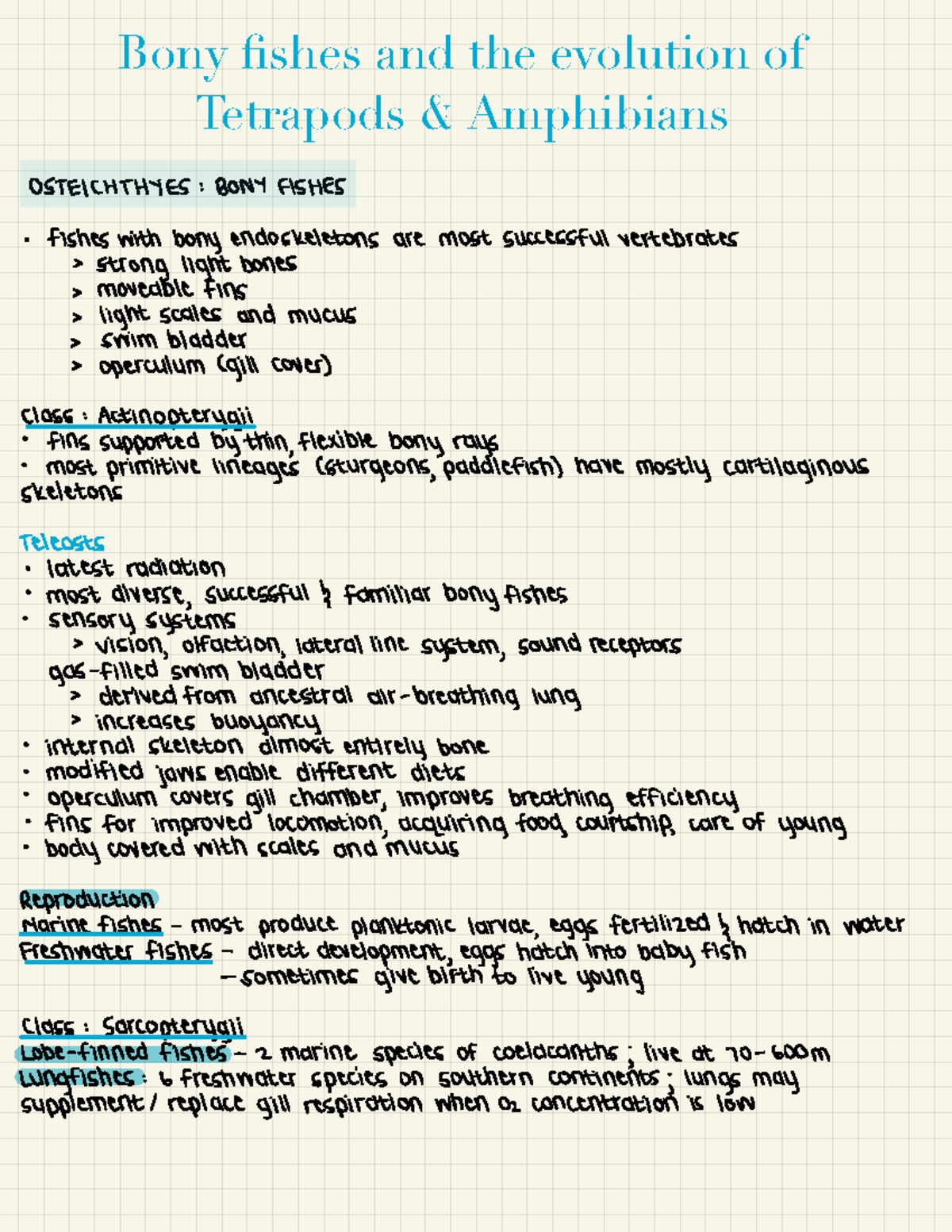 Bony Fishes And The Evolution Of Tetrapods And Modern Amphibians - Bony ...