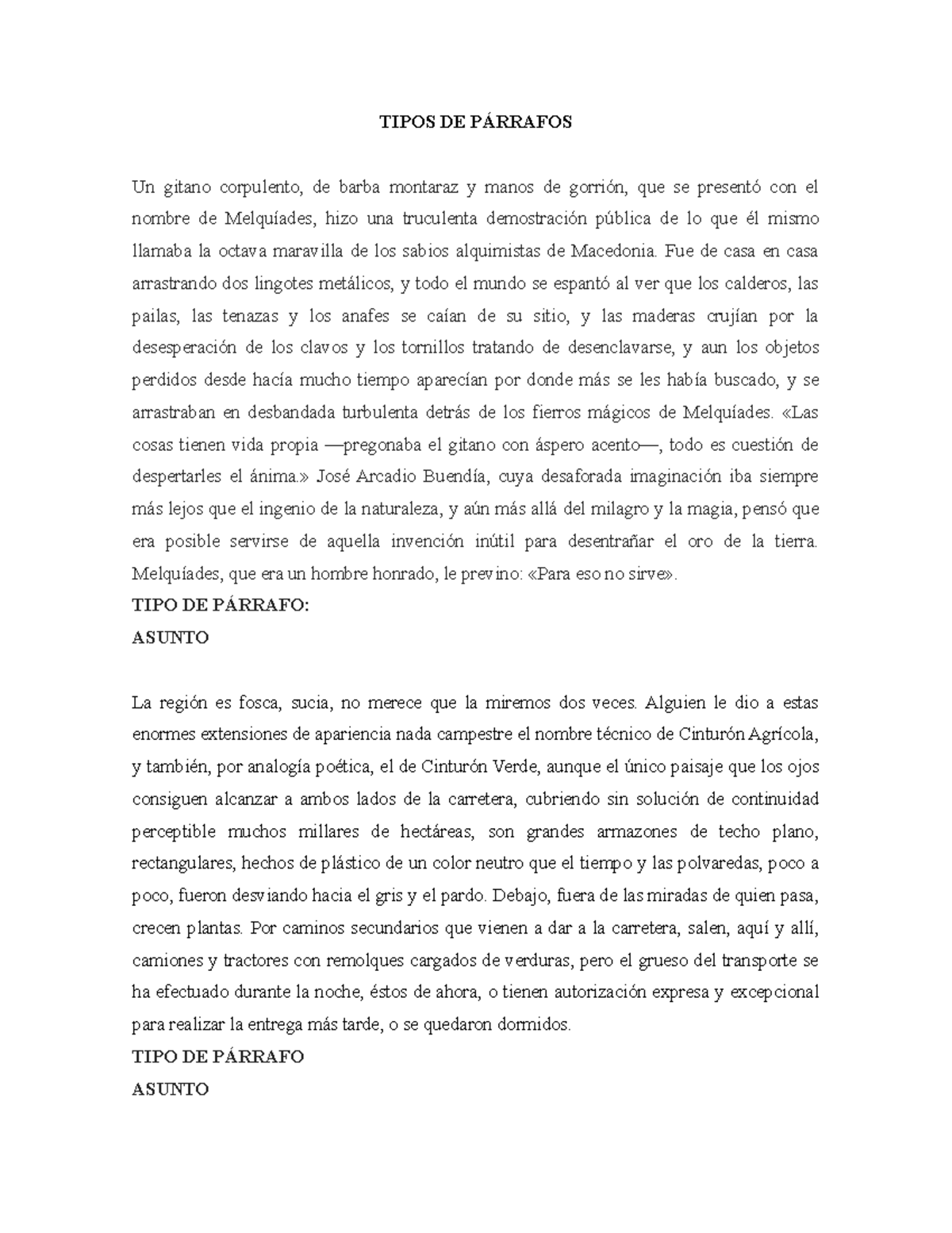Tipos DE Párrafos - TIPOS DE PÁRRAFOS Un gitano corpulento, de barba ...