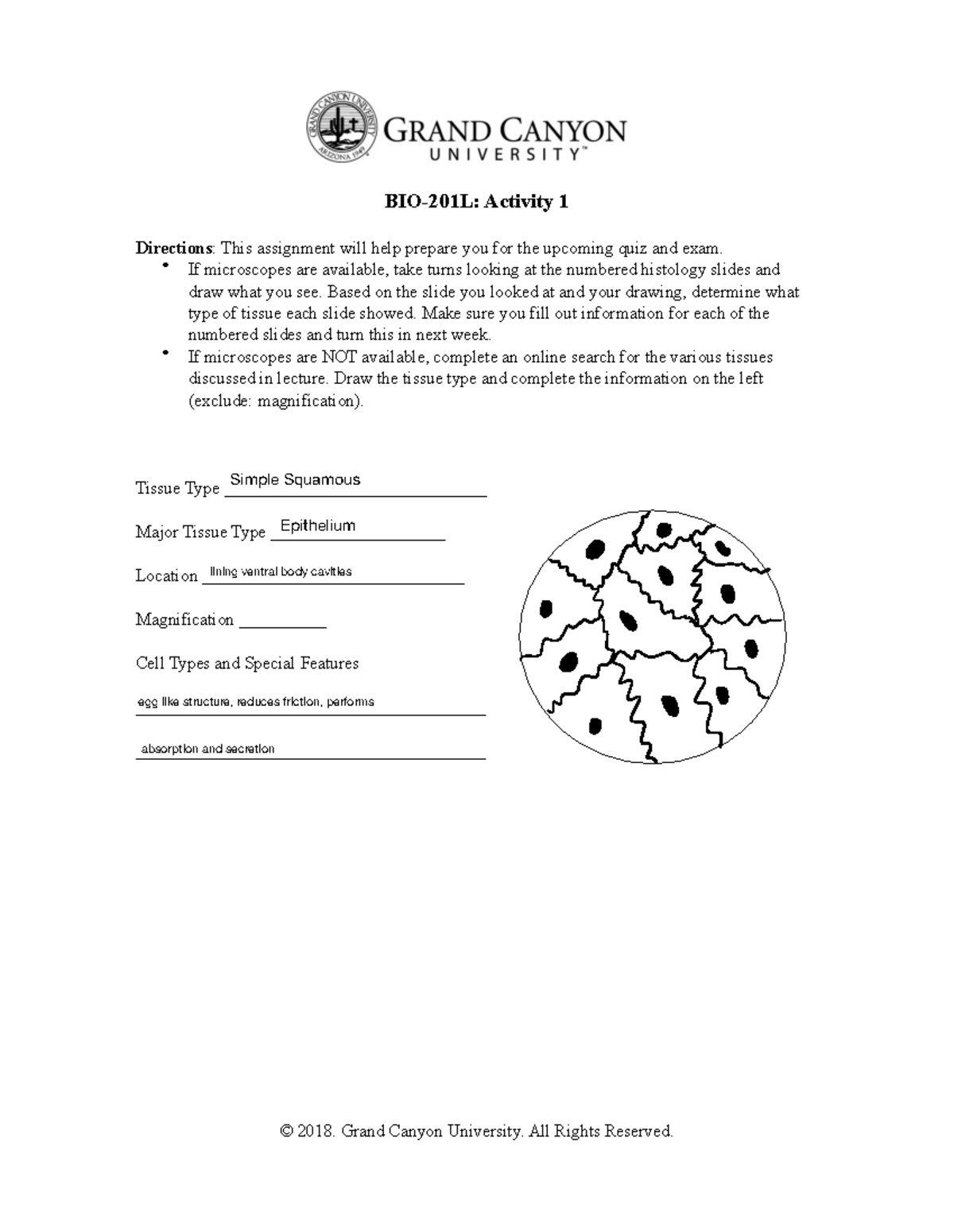 BIO-201L - Activity 1 - Worksheet - BIO-201L: Activity 1 Directions: This assignment will help ...