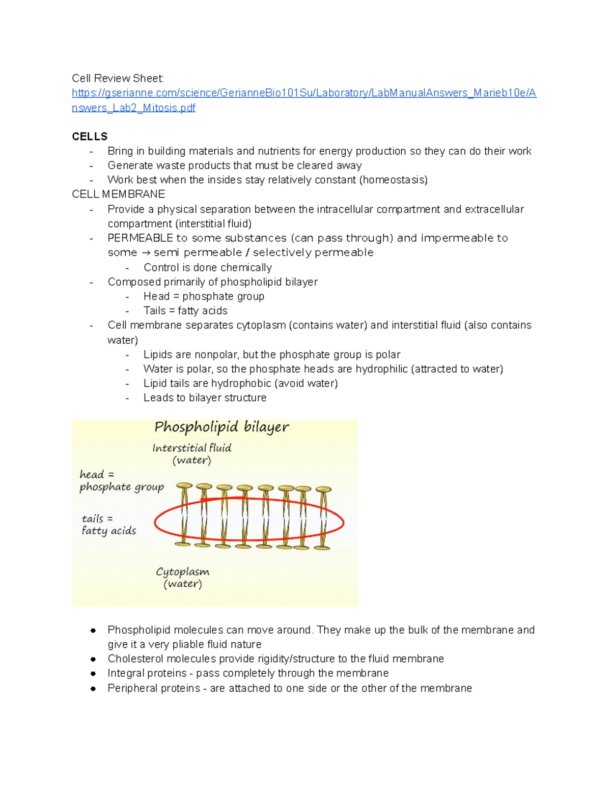 Chapter 3 lab notes - Pearson Lab Assignment Brian Collins - Cell ...