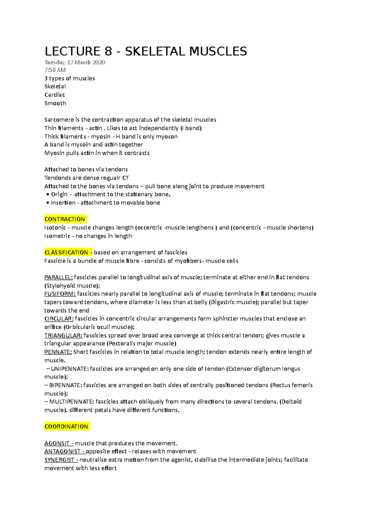 Anatomy skeletal muscles - LECTURE 8 - SKELETAL MUSCLES Tuesday, 17 ...
