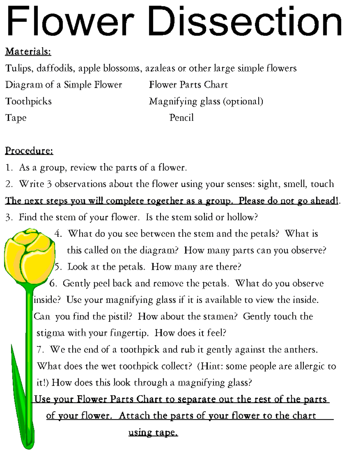Flower dissection - As a group, review the parts of a flower. 2. Write ...