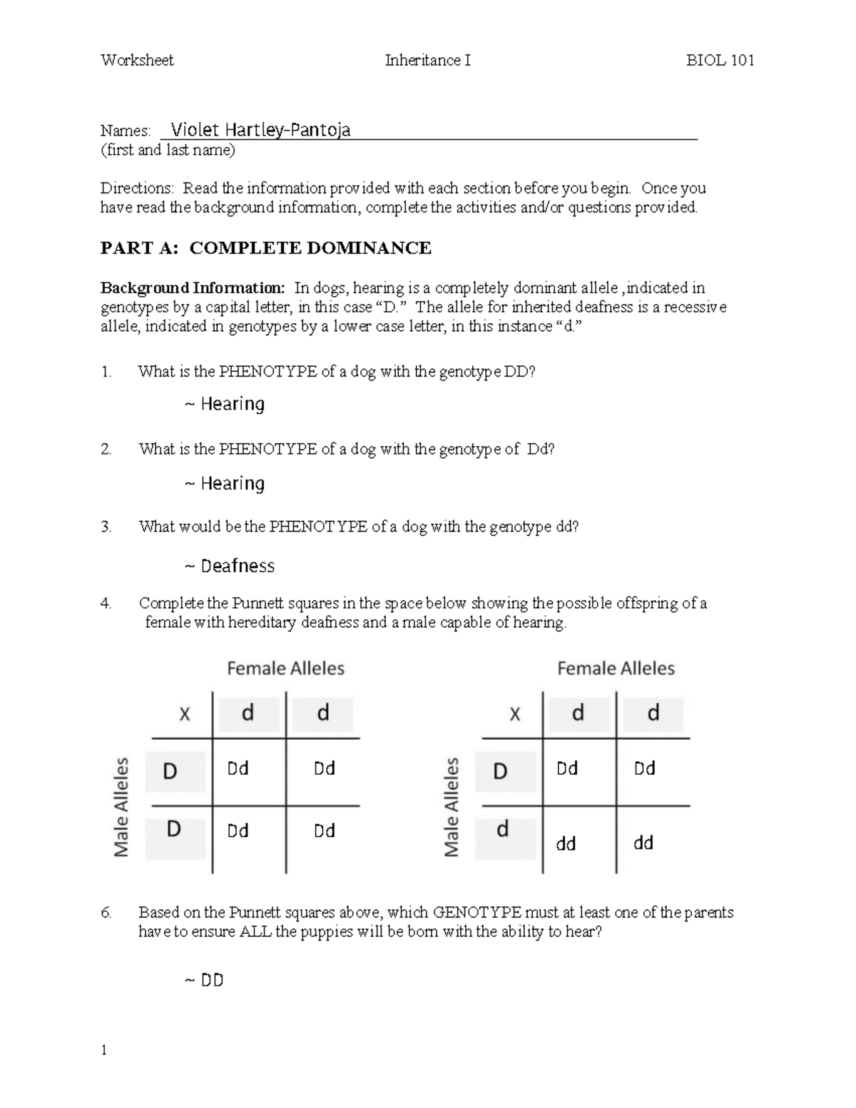 L08+-+fillable+inheritance+I - Worksheet Inheritance I BIOL 101 1 Names ...