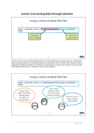 Lesson 2 Understanding SAS Data - There are many types of data files ...