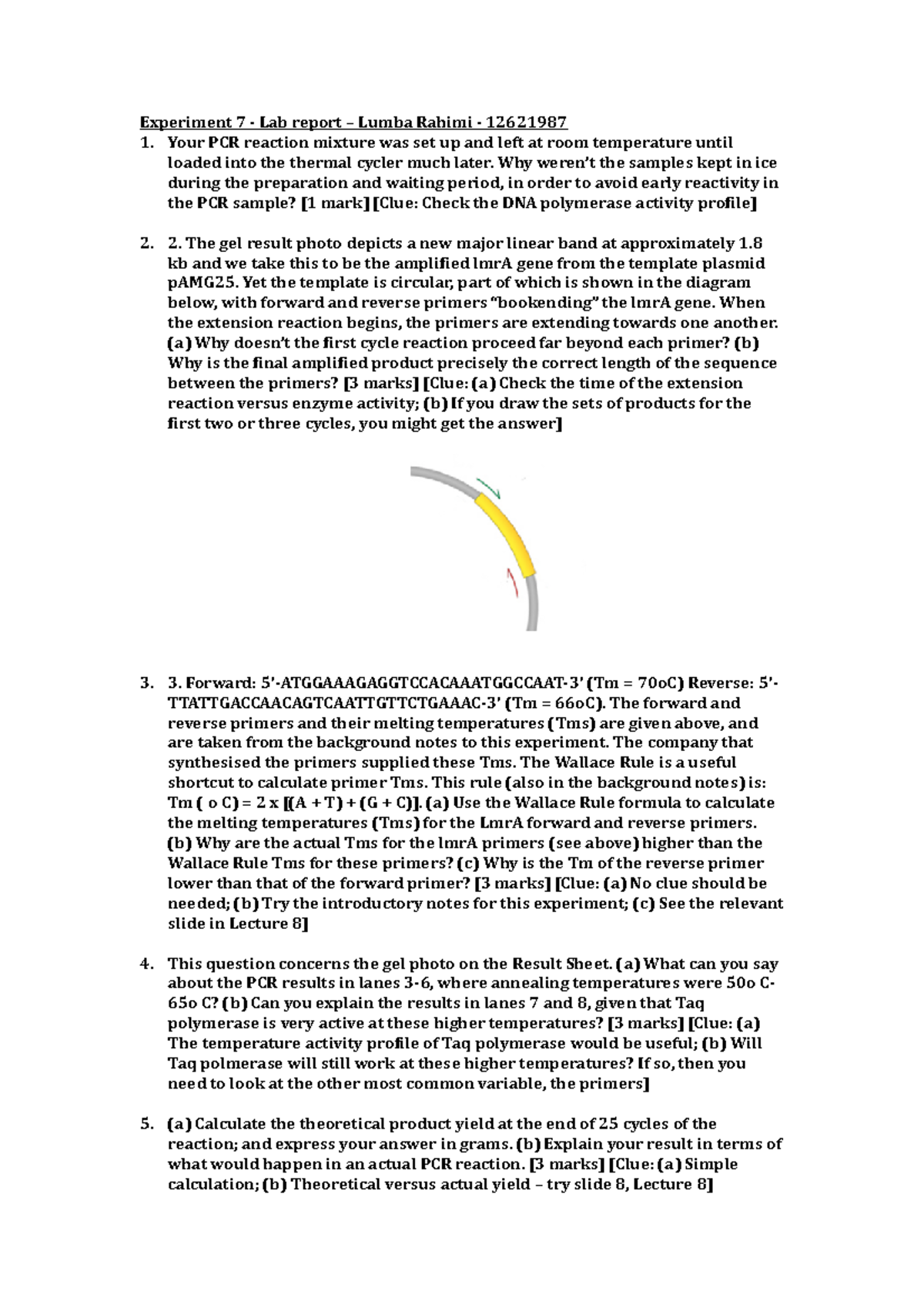 Experiment 7-lab report- mb - Experiment 7 - Lab report – Lumba Rahimi - 12621987 Your PCR ...