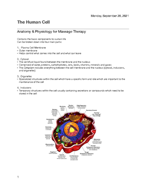 2.3 Homeostasis - Lesson notes - Monday, September 13, 2021 Homeostasis ...