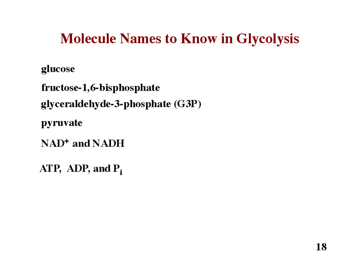 Dr. Smith Lecture 14 - Completed Notes - Molecule Names to Know in ...