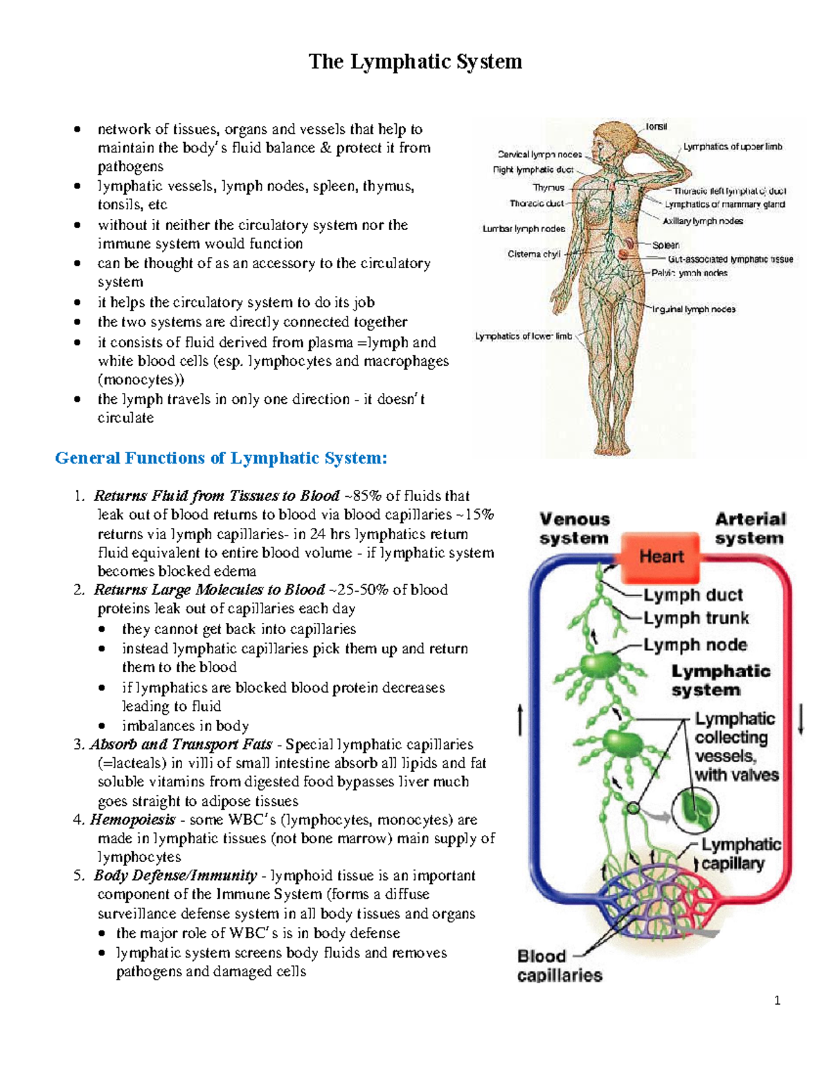 4 19 Lymphmatic System - Notes - The Lymphatic System ∑ network of ...