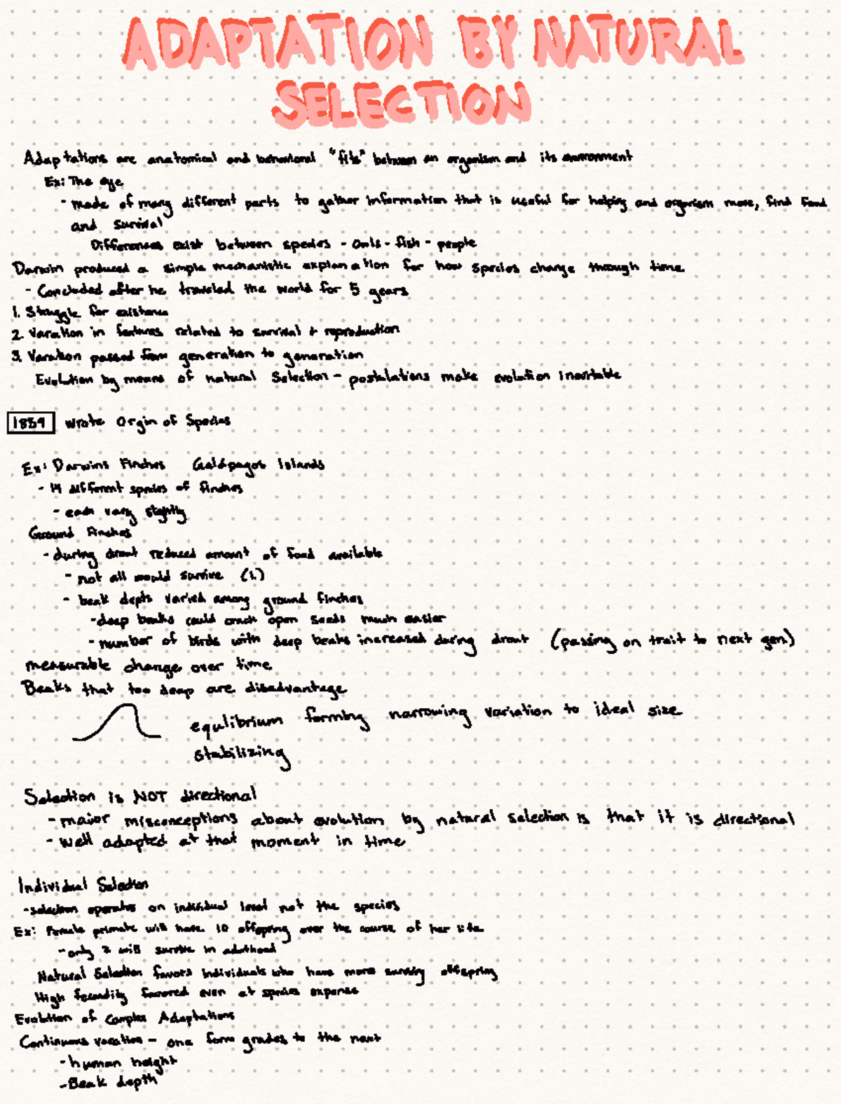 Adaptation by natural selection - ADAPTATION S NATURAL SELECTION ...