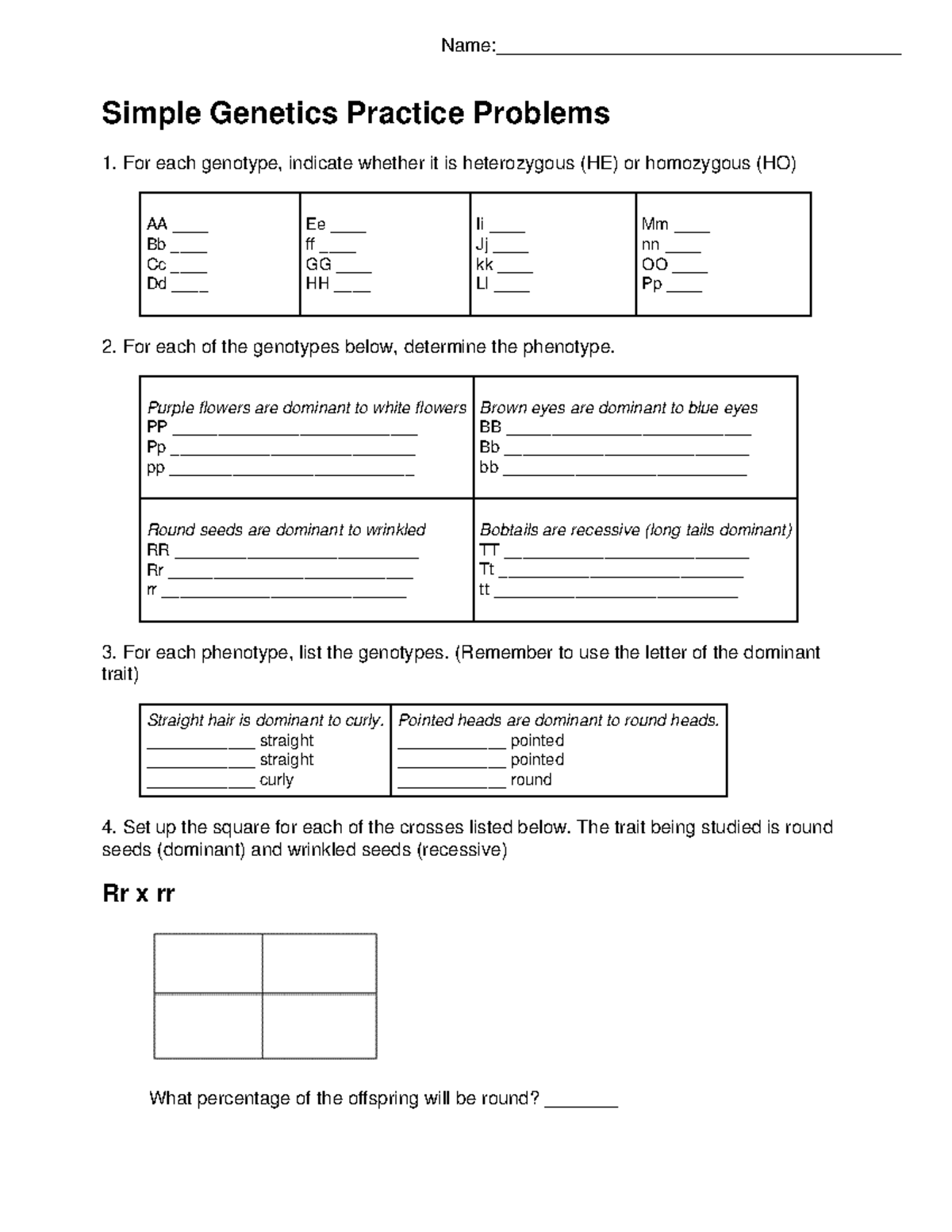 Simple Genetics Practice Problems - For each genotype, indicate whether ...