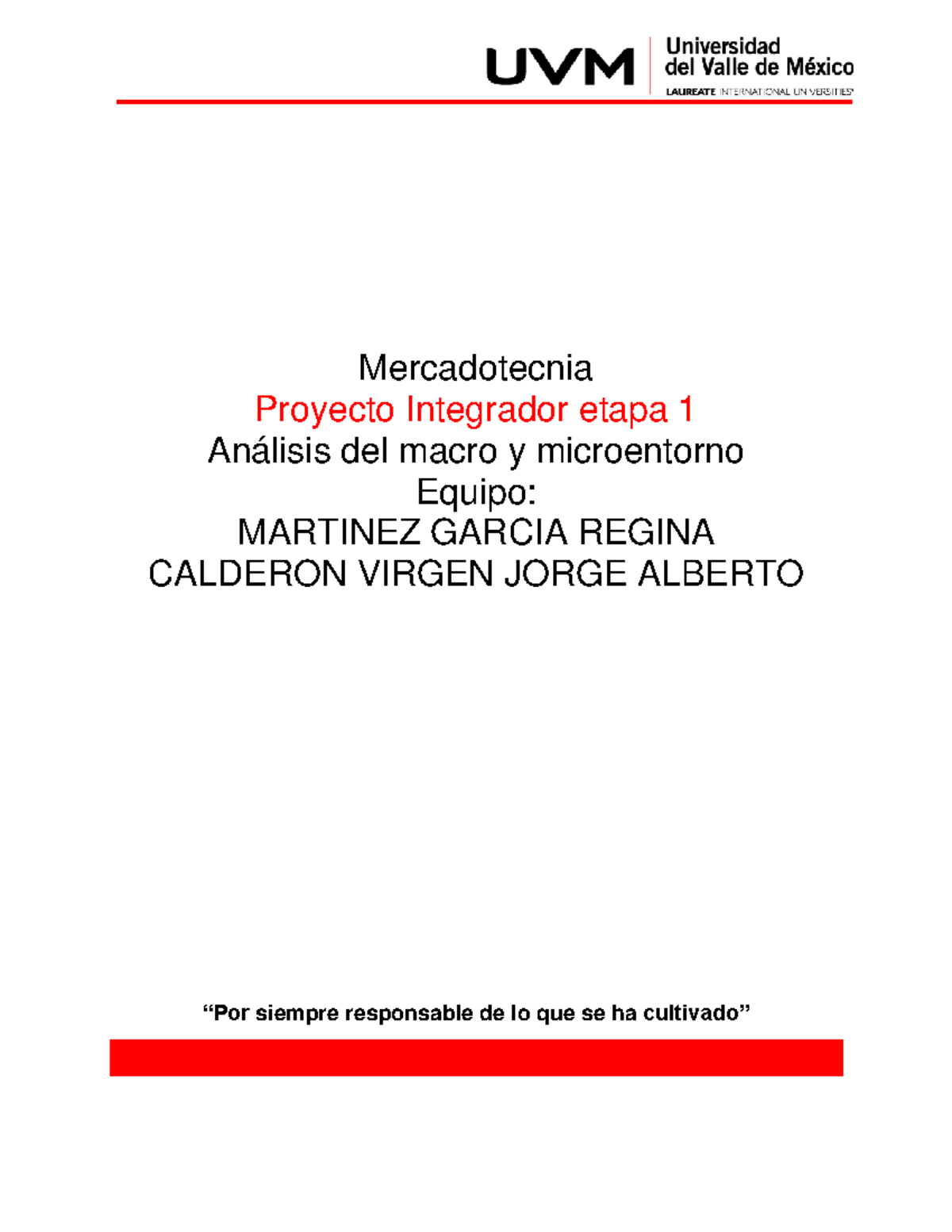 A8 EQ 7 - Actividad 8 - Mercadotecnia Proyecto Integrador etapa 1 Análisis del macro y ...