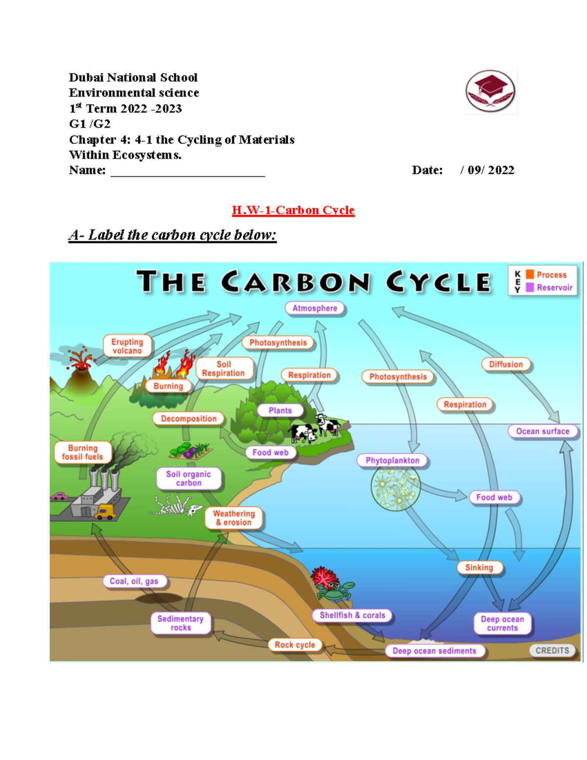 H - Carbon cycle - Dubai National School Environmental science 1 st ...