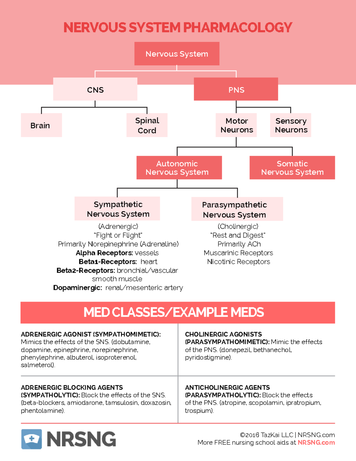 402225073 Nervous System Handout pdf - NERVOUS SYSTEM PHARMACOLOGY ...